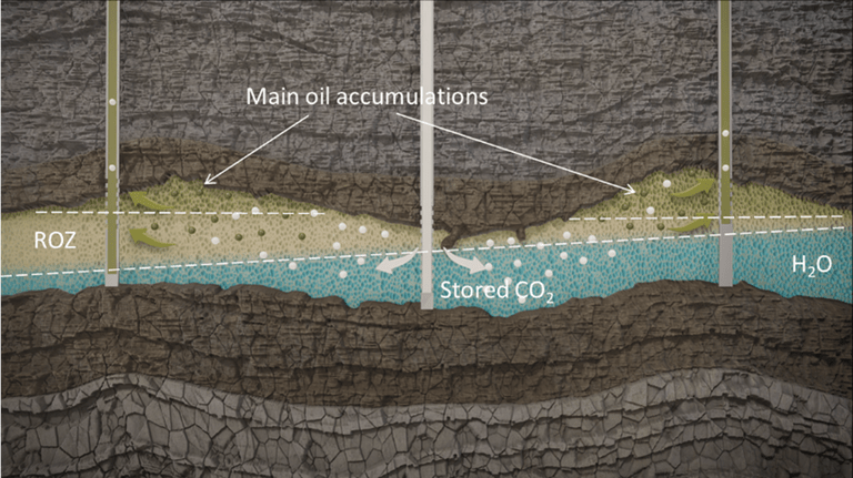 Carbon (CO2) Storage in Residual Oil Zones | EFTF